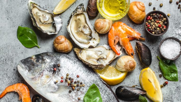 Comidas del mar para disfrutar en familia. - Quien Lo Sabe